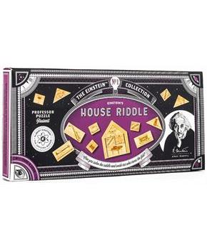 Einsteins House Riddle 3D Brain Teaser Puzzle - ToyHo.com